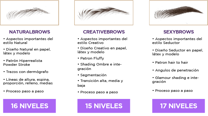 Brows Designer University Brows Designer